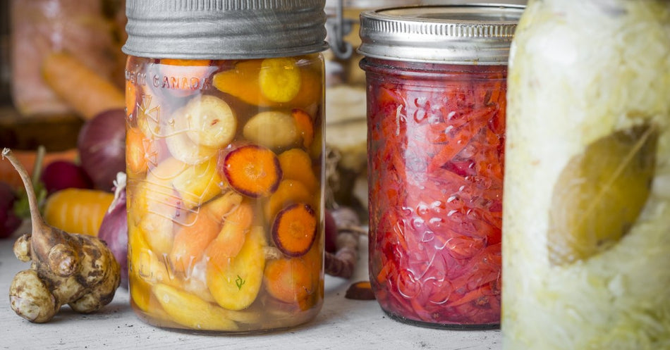 Tout pour vos fermentations - Promos | Révolution Fermentation Canada